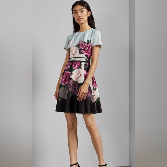 Ted Baker London | Dresses | Ted Baker Wilmana Magnificent Skater Dress ...